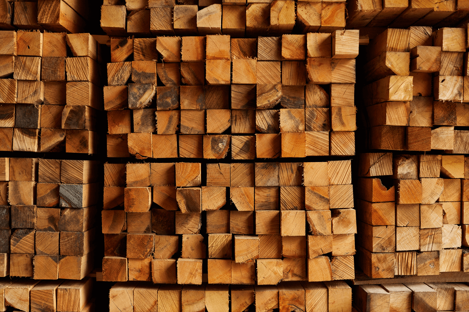 Charities & Foundations – Lodge Lumber